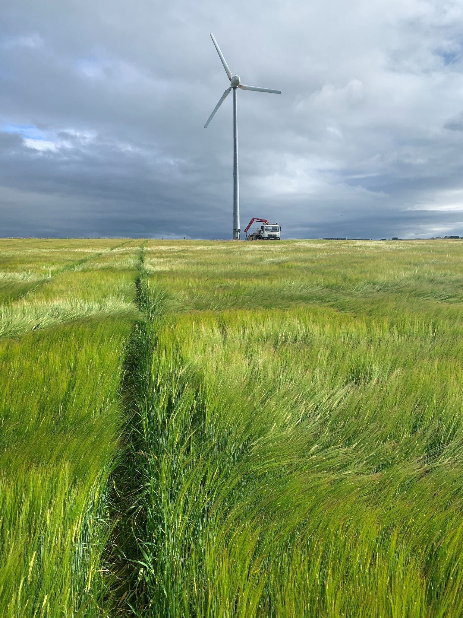 Wind Turbine Service